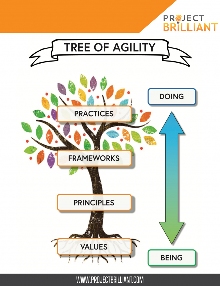 The Tree Of Agility